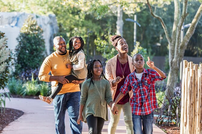 San Antonio Family Discovery: History & Culture - What to Expect from the Tour