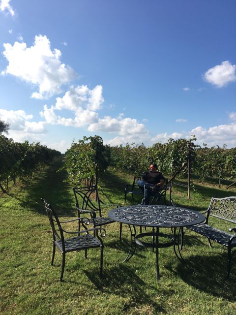 San Antonio: Fredericksburg Wineries Day Trip with Tastings - What’s Included and What’s Not