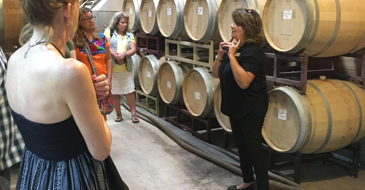 San Antonio: Fredericksburg Wineries Day Trip with Tastings - How the Experience Feels in Practice