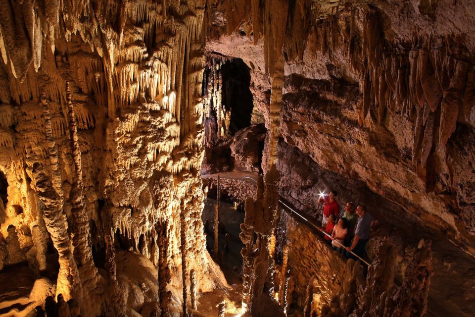 San Antonio: Go City Explorer Pass with 25+ Attractions - The Attractions: What’s Worth Your While?