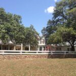 San Antonio: Go City Explorer Pass with 25+ Attractions - What Travelers Say: Pros & Cons