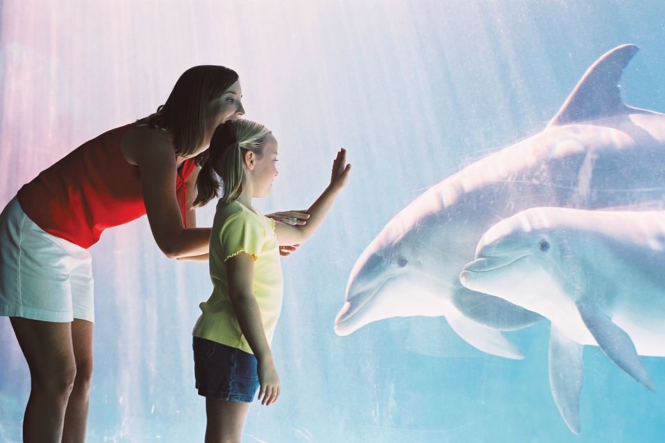 San Antonio: Go City Explorer Pass with 25+ Attractions - Practical Tips for Using the Pass