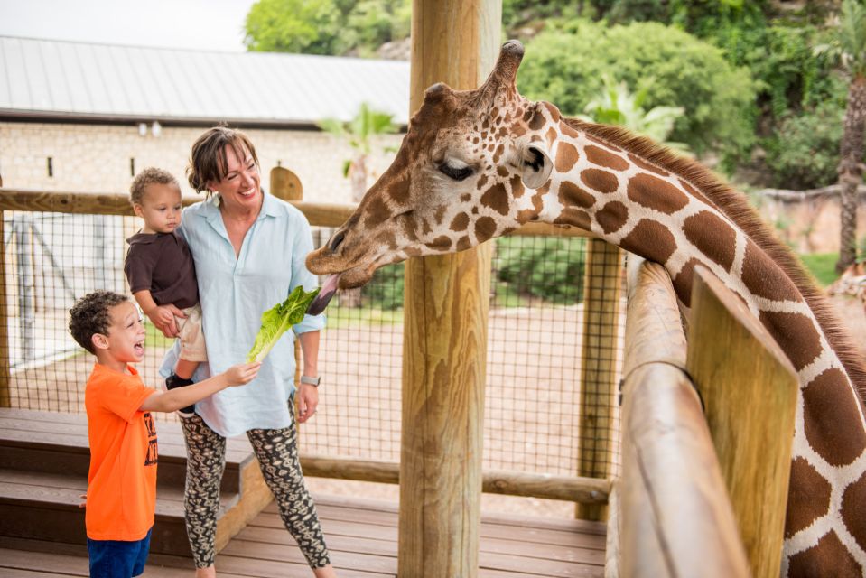 San Antonio: San Antonio Zoo Any Day Ticket - Practical Tips for Visiting