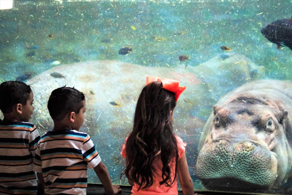 San Antonio: San Antonio Zoo Any Day Ticket - Final Thoughts