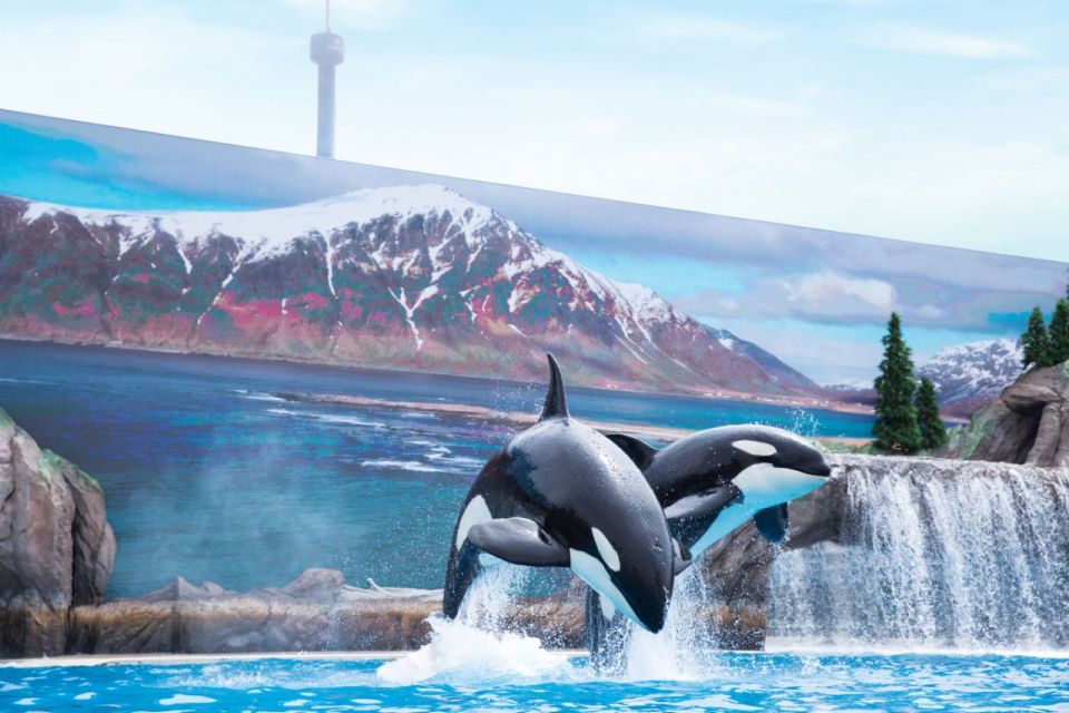 San Antonio: SeaWorld Skip-the-Line Park Admission Ticket - Exploring the Marine Life Exhibits and Shows