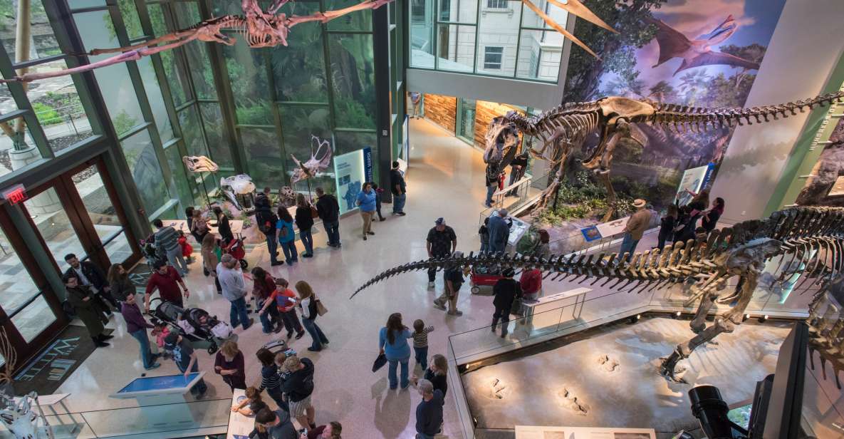 San Antonio: Witte Museum Admission Ticket - An In-Depth Look at the Witte Museum Experience