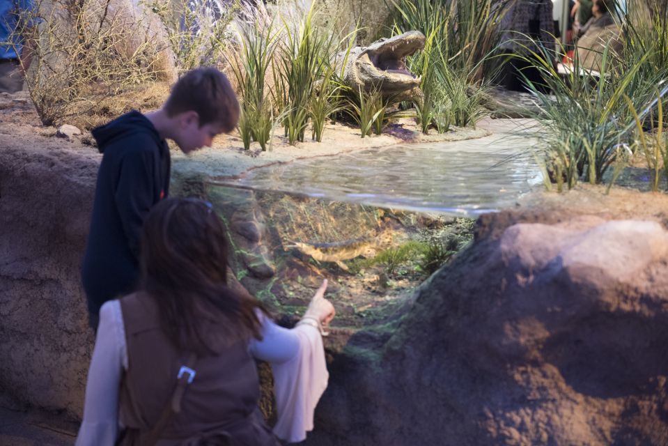 San Antonio: Witte Museum Admission Ticket - Value for Money and Practical Tips