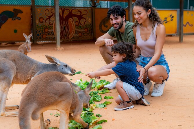 San Antonio Zoo General Admission Ticket - The Experience: What You Can Expect at San Antonio Zoo