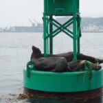 San Diego: 2 Person Private Sailing Cruise with Snacks - Key Points