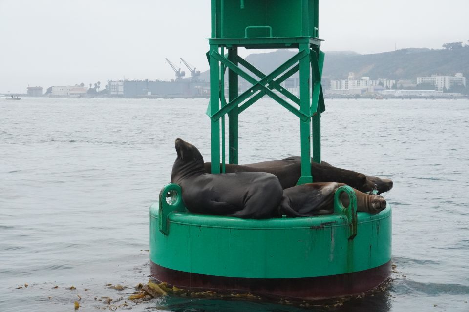 San Diego: 2 Person Private Sailing Cruise with Snacks - Key Points