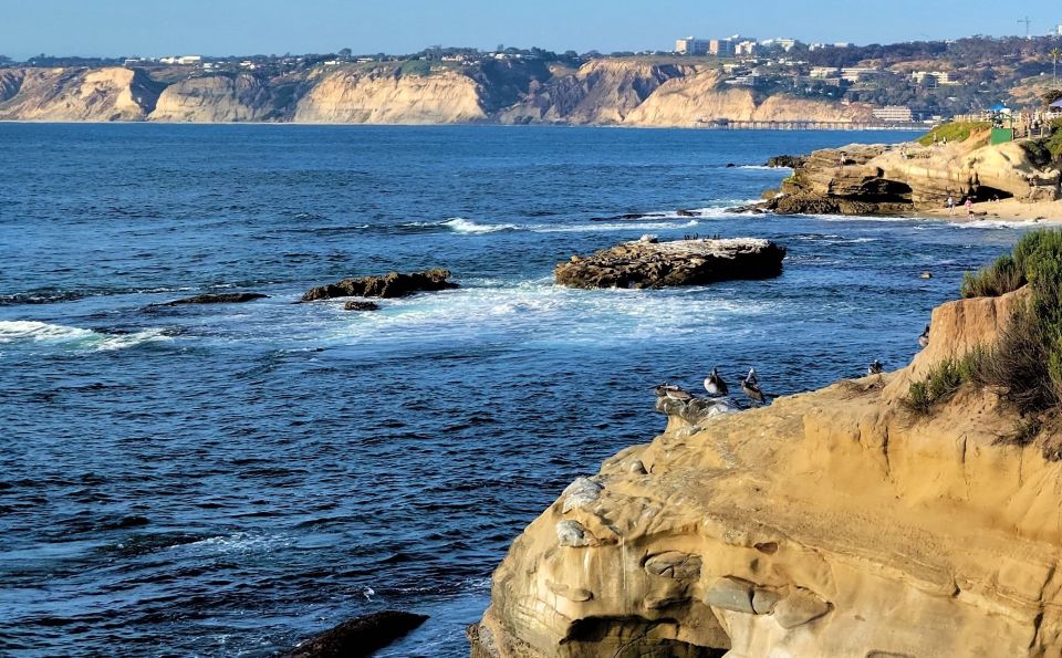 San Diego: City and Beaches Guided Highlights Tour - FAQs