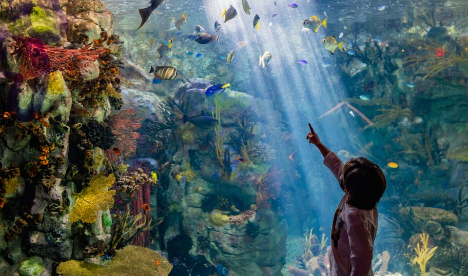San Diego: CityPASS® Save up to 44% at Must-See Attractions - Final Thoughts: Is It Worth It?