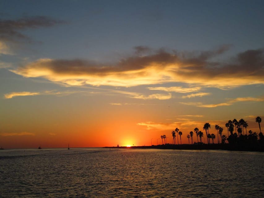 San Diego: Dolphin and Whale-Watching Sunset Cruise - Practical Details and Value