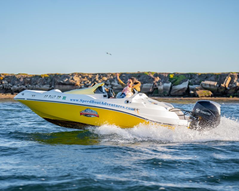 San Diego: Drive Your Own Speed Boat 2-Hour Tour - The Sum Up