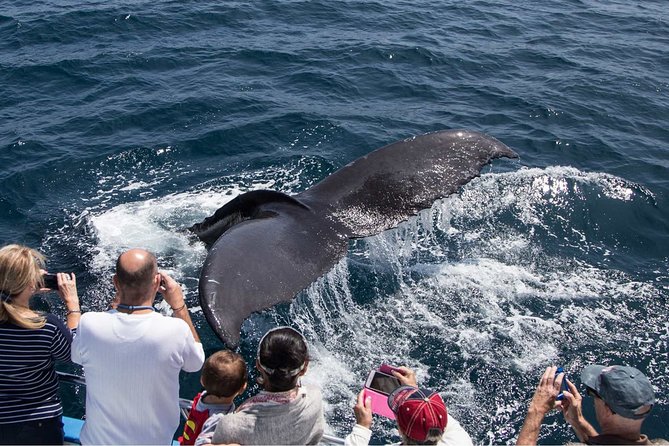 San Diego Explorer Pass: Save up to 50% - Includes San Diego Zoo - Who Will Love This Tour?