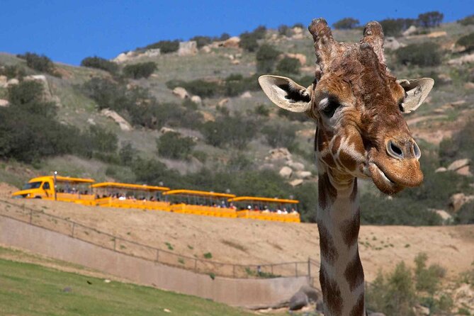 San Diego Explorer Pass: Save up to 50% - Includes San Diego Zoo - The Sum Up