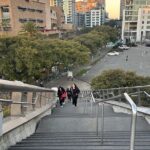 San Diego/gaslamp quarter/oldtown/little Italy/La Jolla tour - A Deep Dive into the San Diego Tour Experience