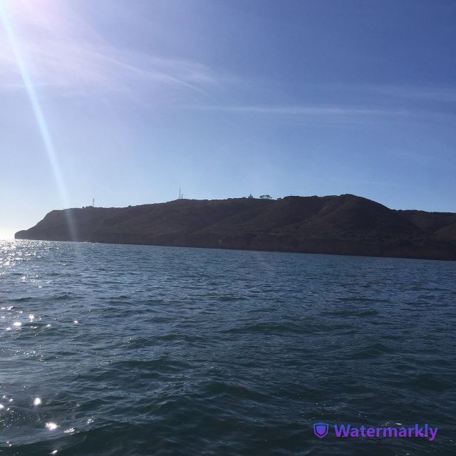 San Diego: Half-Day Marine Wildlife Tour with Lunch - FAQ