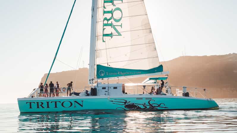 San Diego Harbor Cruise: 2.5 hour Catamaran Cruise - The Allure of San Diego from the Water