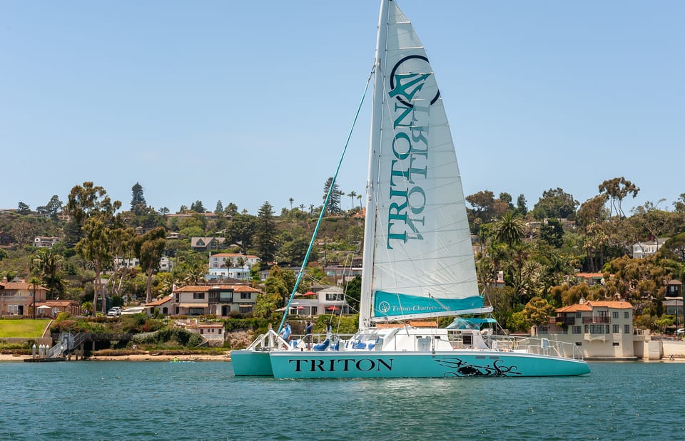 San Diego Harbor Cruise: 2.5 hour Catamaran Cruise - What to Expect from the Tour
