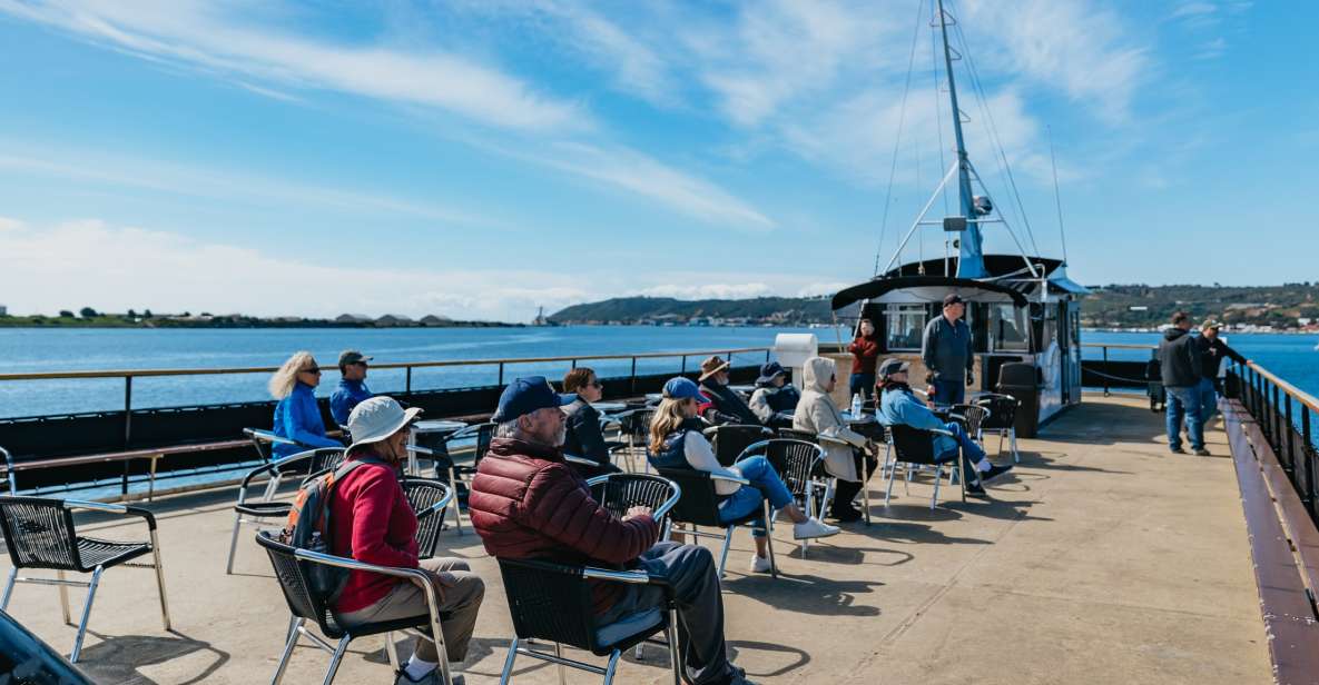 San Diego: Harbor Cruise - An In-Depth Look at the Harbor Cruise Experience