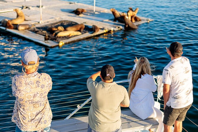 San Diego Harbor Cruise | Splash through San Diego Bay! - Who Will Love This Cruise?