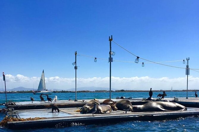 San Diego Harbor Speed Boat Adventure - Final Thoughts