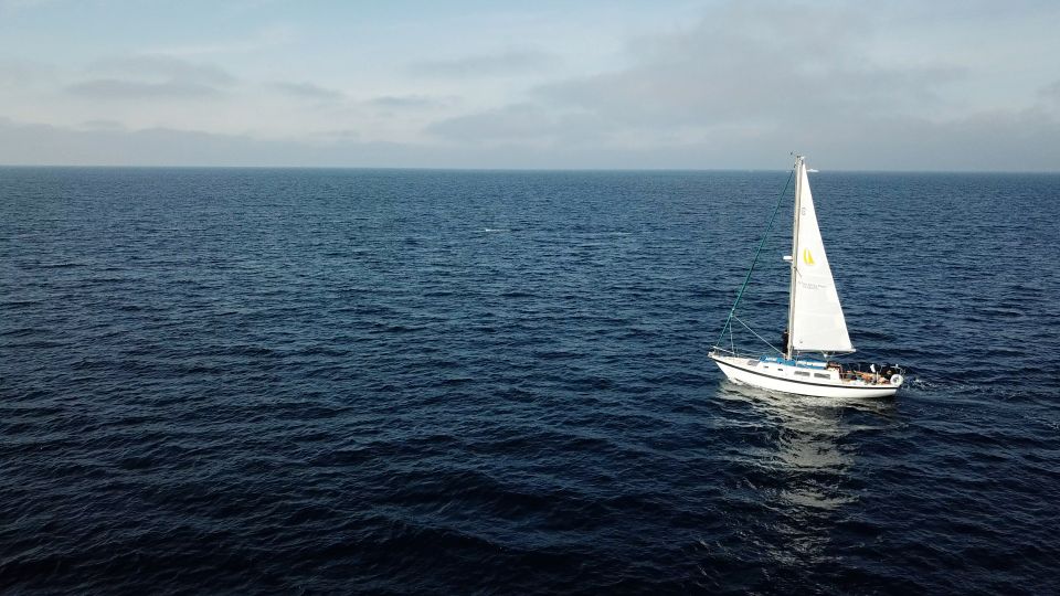 San Diego: Private 2-Hour Sailing Tour for 3-6 People - Evaluating the Cost and Overall Value