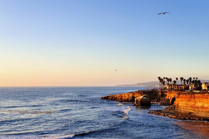 San Diego Private Highlights Tour with Daily Chauffeur - Why Choose This Tour?