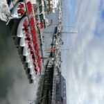 San Diego: San Diego Bay Dog-Friendly Eco Pedal Boat Rentals - Who Should Consider This Experience?