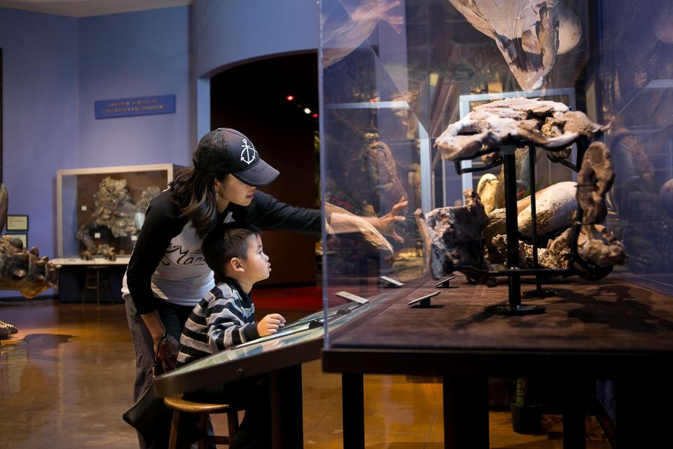 San Diego: San Diego Natural History Museum Ticket - Practical Details and Visiting Tips
