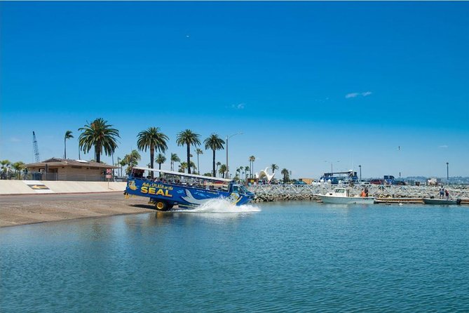 San Diego Seal Tour - A Deep Dive into the San Diego Seal Tour