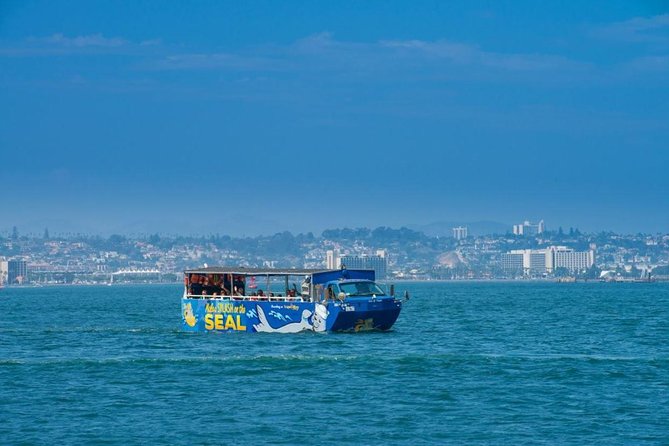 San Diego Shore Excursion: San Diego Seal Tour - Authentic Experiences from Reviewers