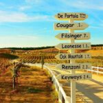 San Diego to Temecula: Wine Country Tour & Historic Old Town - An In-Depth Look at the Temecula Wine Country Tour