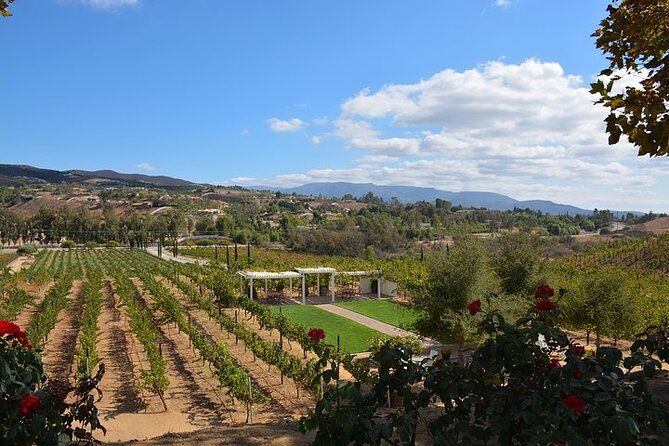 San Diego to Temecula: Wine Country Tour & Historic Old Town - Final Words