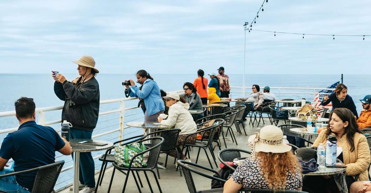 San Diego: Whale and Dolphin Watching Cruise - Introduction