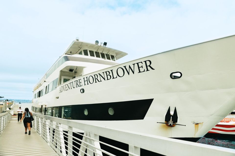 San Diego: Whale and Dolphin Watching Cruise - Discovering San Diego’s Marine Life