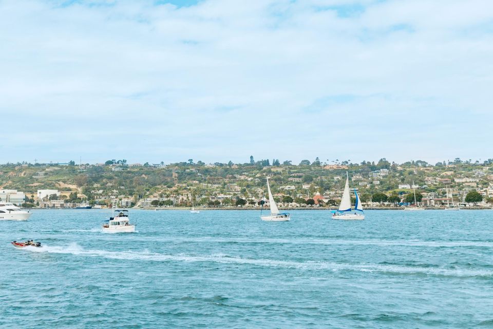 San Diego: Whale and Dolphin Watching Cruise - FAQ