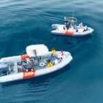 San Diego: Whale and Dolphin Watching Speedboat Tour - Value and Pricing Analysis