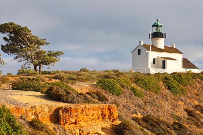 San Diego Whale Watching Cruise - Why This Tour Offers Great Value