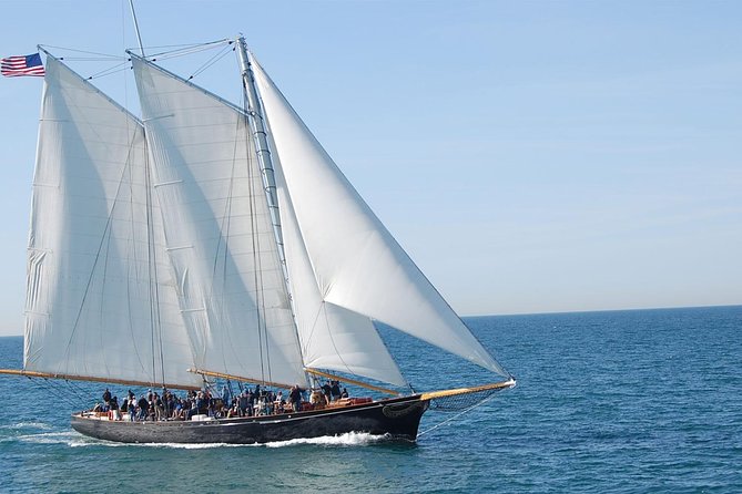San Diego Whale Watching Cruise - Final Word