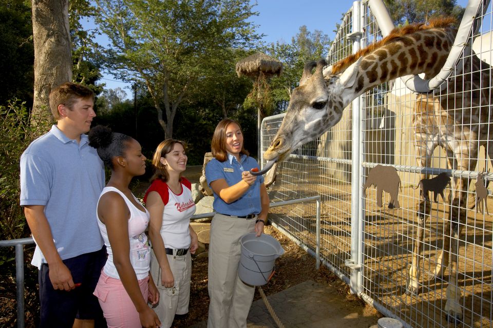 San Diego Zoo: 1-Day Admission Ticket - The Practicalities: Pricing, Duration, and Tips