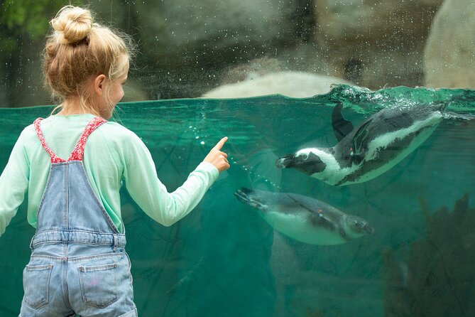 San Diego Zoo 1-Day Pass: Any Day Ticket - FAQ