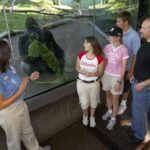San Diego Zoo and Safari Park: 2-Day Entry Ticket - Final Thoughts