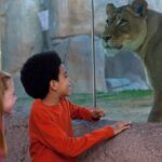 San Diego Zoo and Safari Park 2-Visit Pass Ticket - FAQ