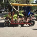 San Fancisco: Golden Gate Park Surrey Rental - Final Thoughts: Is This Tour Worth It?
