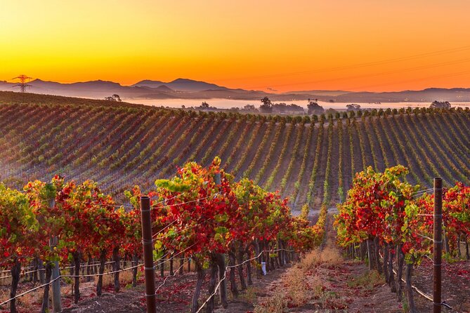 San Francisco Airport Private Transfer to Napa Valley - The Value for Money