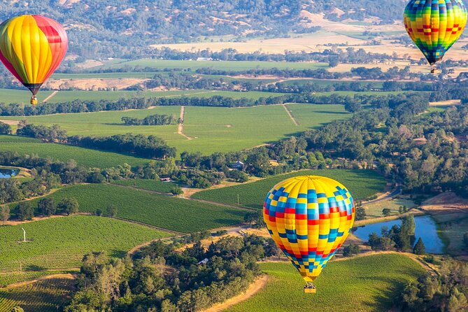 San Francisco Airport Private Transfer to Napa Valley - Who Should Consider This Transfer?