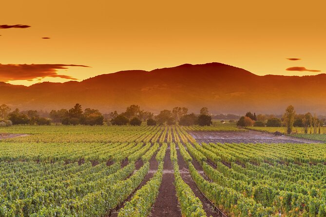 San Francisco Airport Private Transfer to Napa Valley - FAQ