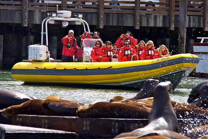 San Francisco Bay Adventure Sightseeing Cruise - Practical Details: Booking, Price, and Comfort